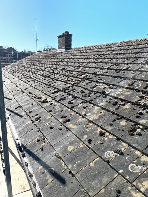 Four Reasons to Clean your Roof | Token Cleaning Services