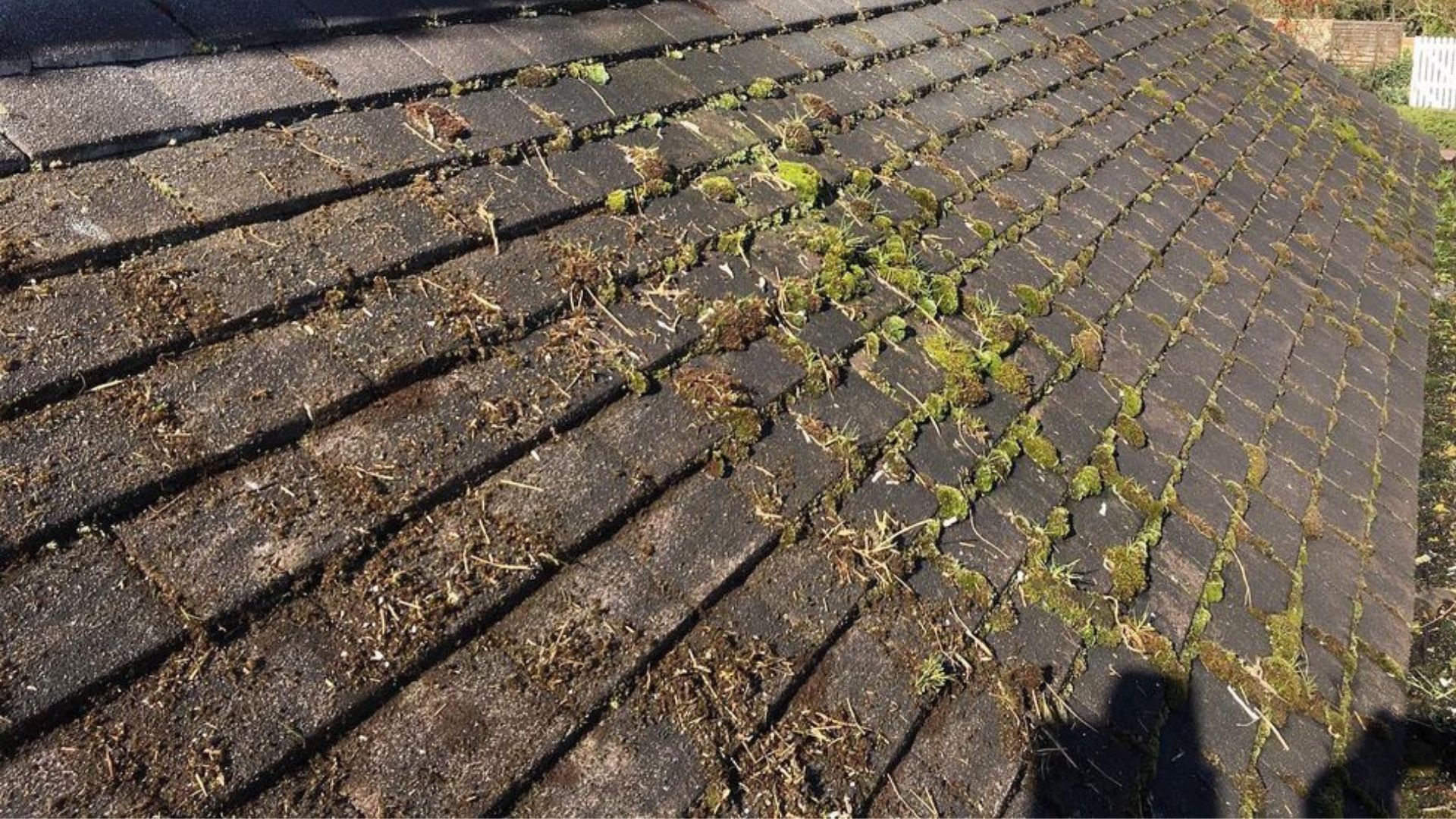 Roof Cleaning Services: Why It's Important